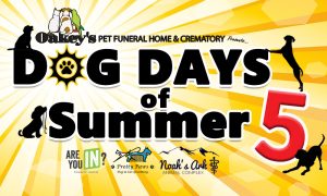 Lancerlot Sports Complex